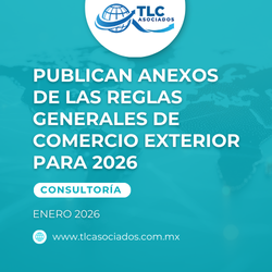 Publican Anexos de las Reglas Generales de Comercio Exterior para 2026 ...